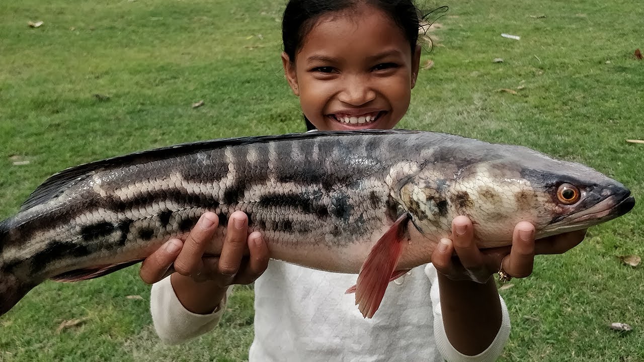 Deep Fried Fish With Mango Salad / Kdeb Sister Cooking - YouTube