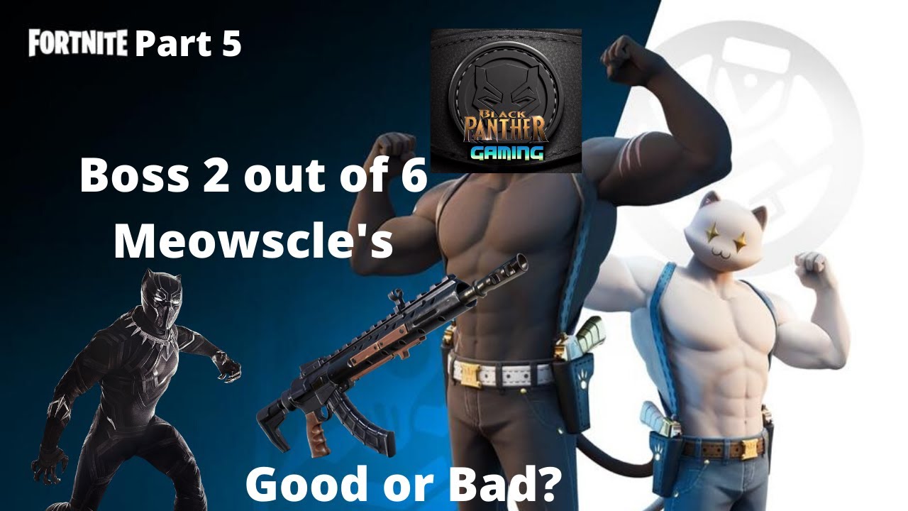 Is Meowscle’s Peow Peow Rifle Good? Fortnite Part 5 (Meowscle’s) - YouTube