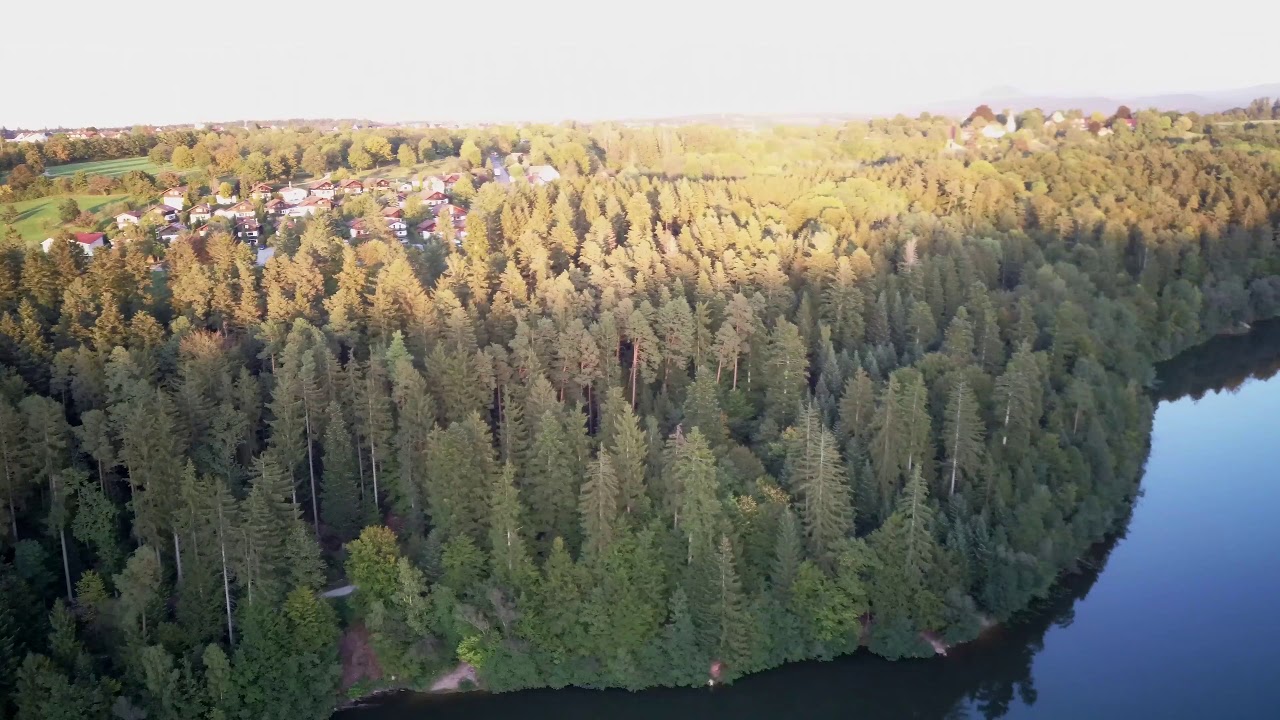 Adelberg - Waldgeister am Herrenbachstau See4K Drone - YouTube