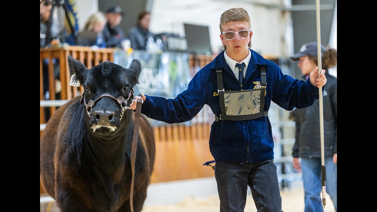 Mason Debolt - 2025 NILE Merit Heifer Application - YouTube