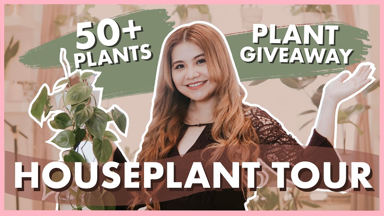 HOUSEPLANT TOUR 2020 | Indoor Plant Collection + PLANT GIVEAWAY ...