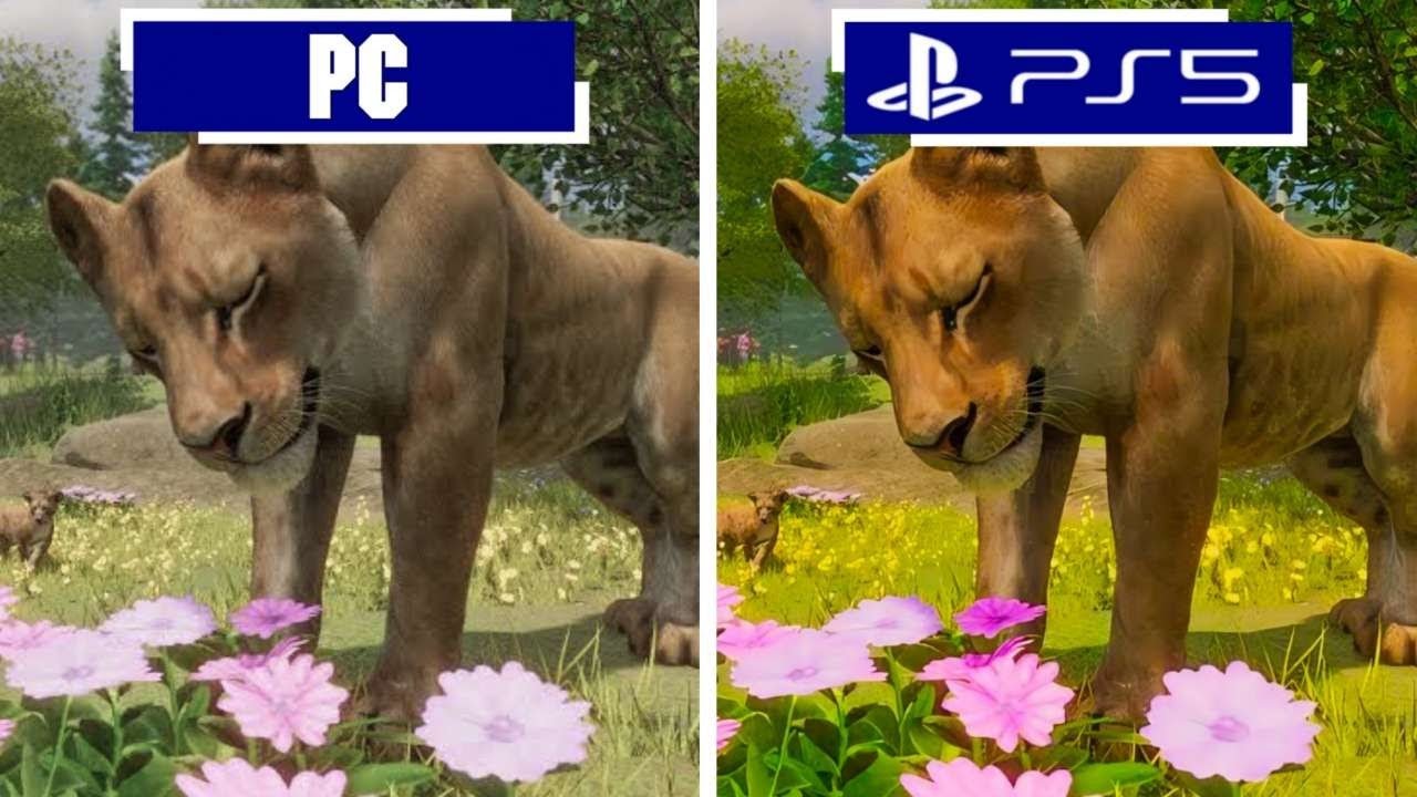 Planet Zoo PS5 vs PC Graphics Comparison - YouTube