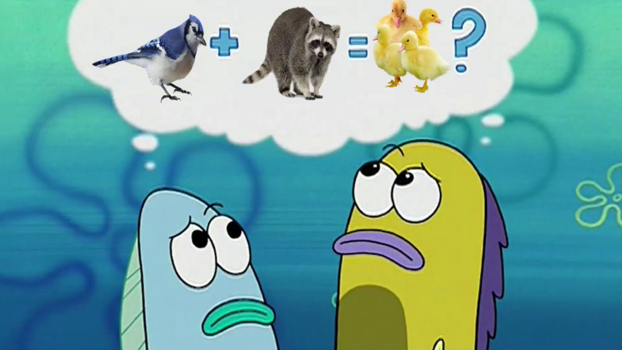 SpongeBob - Blue Jay + Raccoon = A Bunch Of Baby Ducks? - YouTube