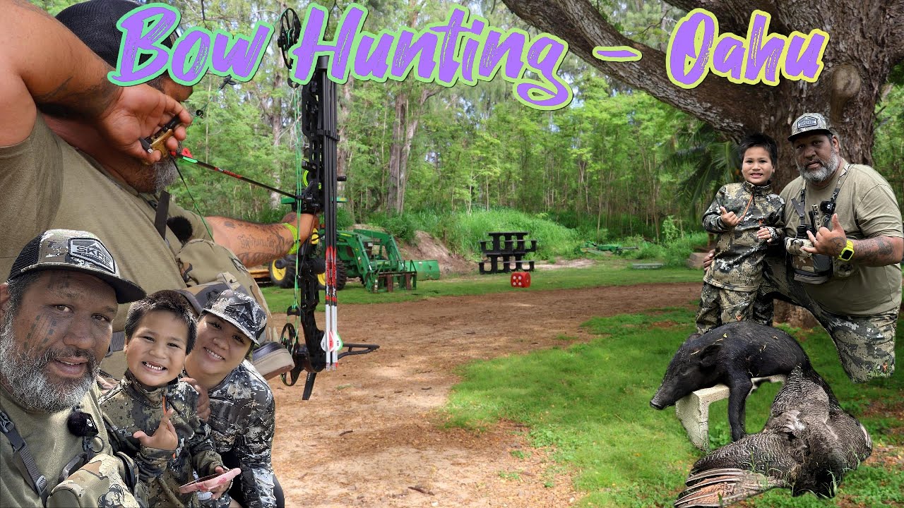 Bow Hunting - Hawaii - 1 Pig - 1 Peacock - YouTube
