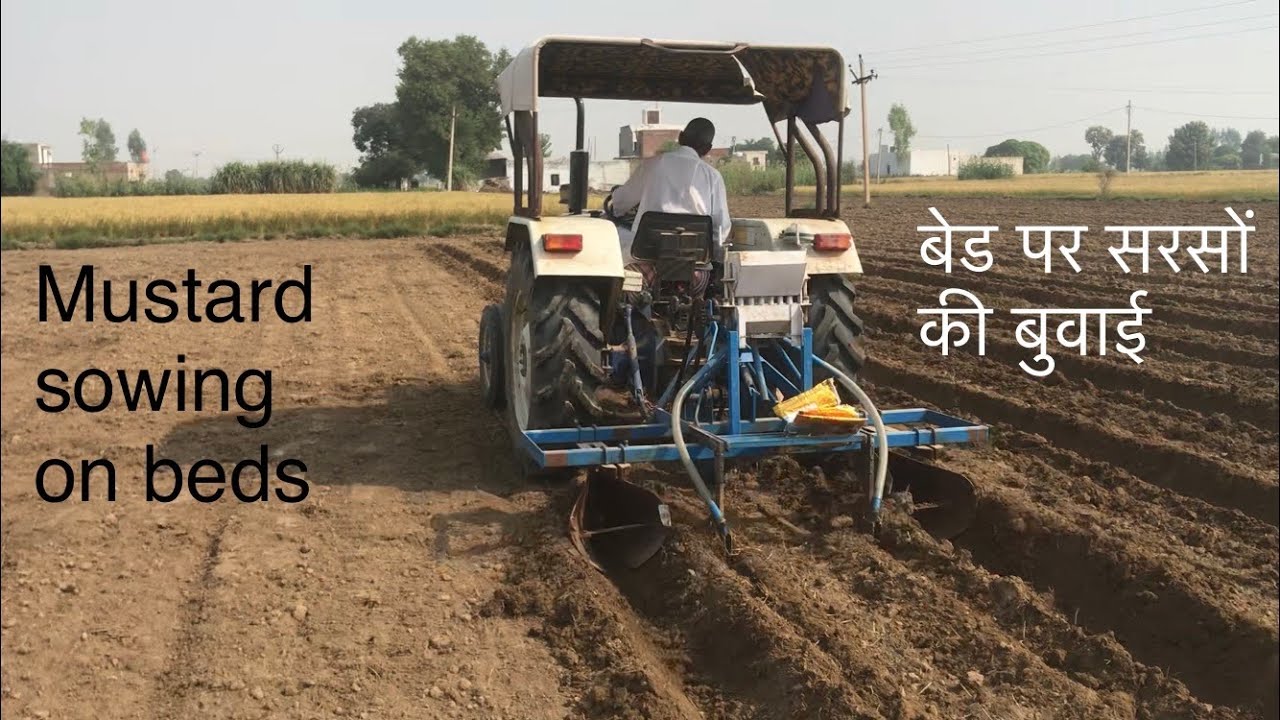 Mustard sowing on raised beds with bed planter. बेड पर सरसों की बुवाई ...