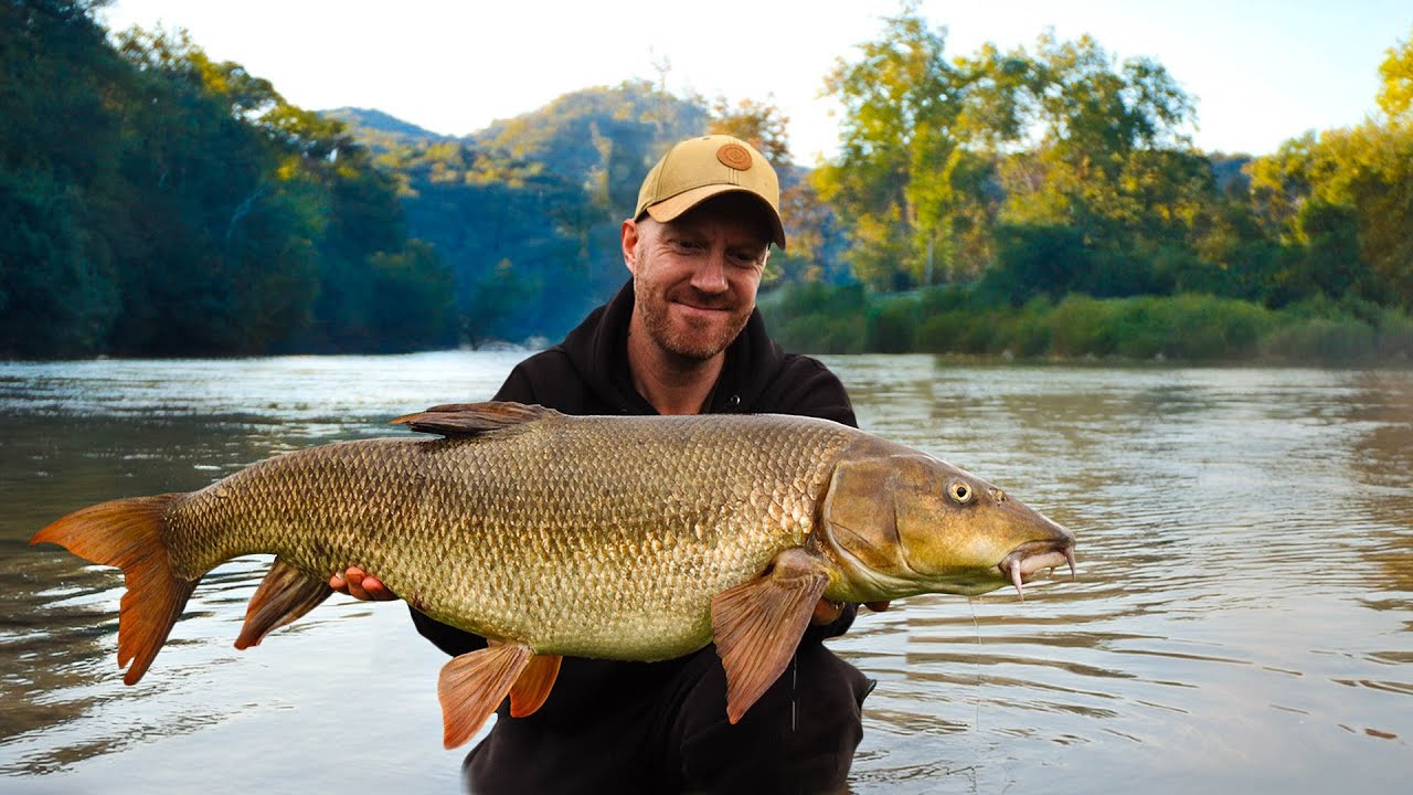 My Biggest barbel on the River Trent - YouTube