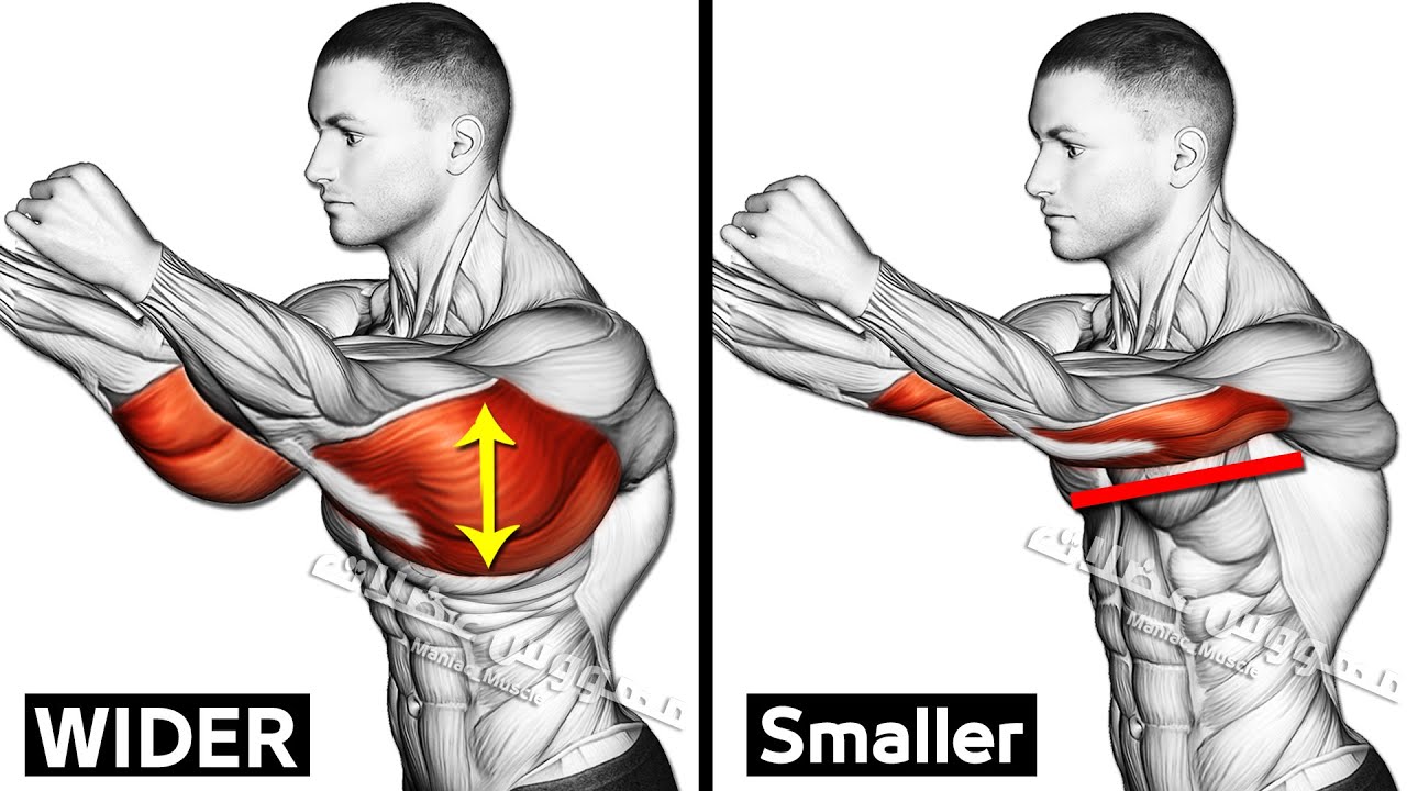 Full Triceps Workout for Every Head ( Lateral - Long - Medial ) - YouTube