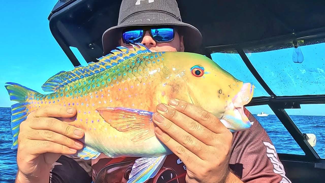 We Hunt For Pearl Perch North of Cape Moreton - YouTube