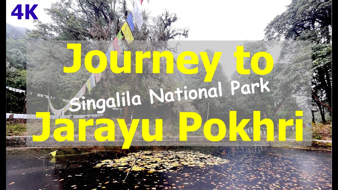 Unknown Lake - Jarayu Pokhri | Singalila Forest | Rhododendron Trail ...