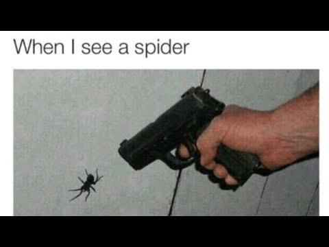 that one spider meme. (BUT THE KID IS NOT MY SON~ 😫) - YouTube