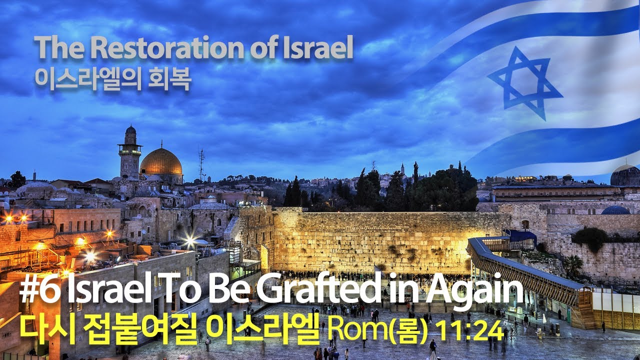 #6 Israel To Be Grafted in Again 다시 접붙여질 이스라엘 Rom롬 11:24 - YouTube