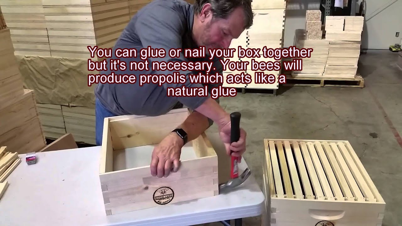 Goodland Bee Supply® super box and bee hive frames assembly - YouTube