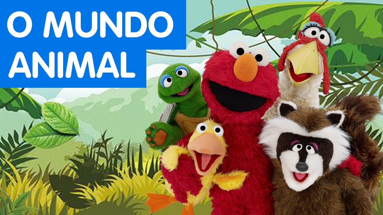 Sésamo: O Mundo Animal - YouTube
