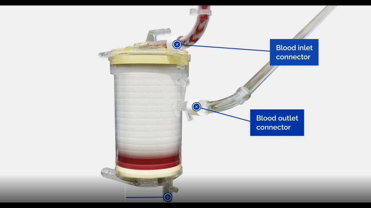 The principle of physical gas exchange - YouTube