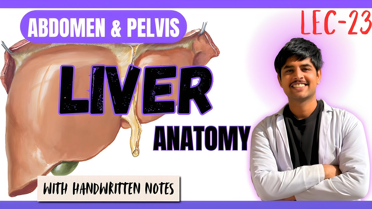 Liver Anatomy (Complete Lecture)| Surfaces, Lobes, Ligaments, Relations ...
