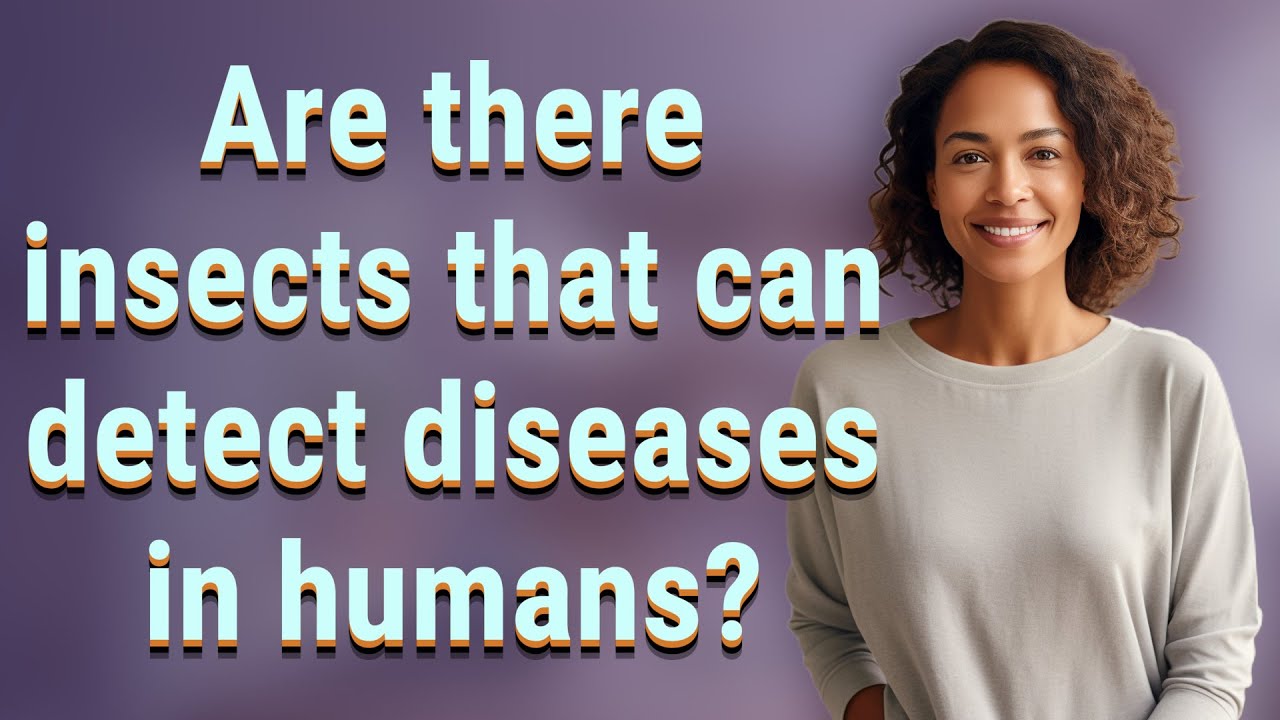 Are there insects that can detect diseases in humans? - YouTube