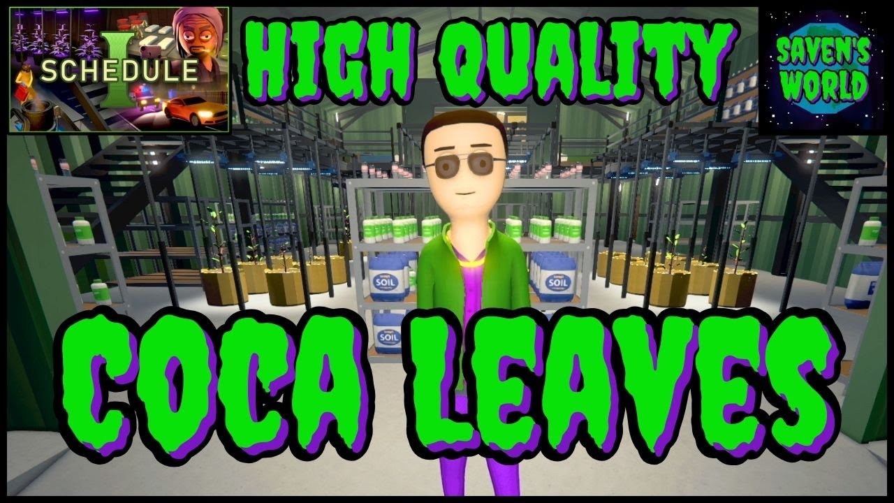 Best Grow Pot Setup - Coca Leaves - Schedule 1 - High Quality Leaves ...