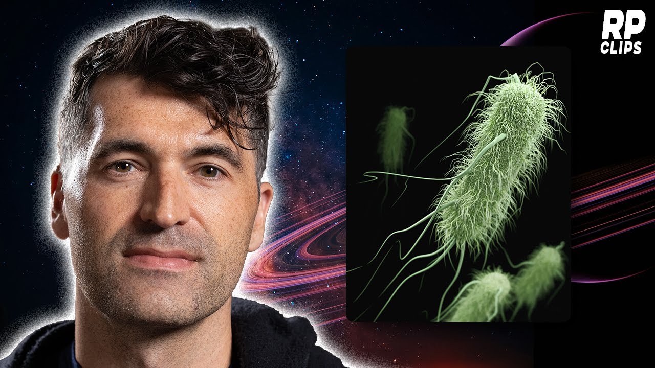 When Did the First Life Form in the Universe? | David Kipping - YouTube