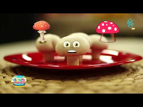 Maydanoz Soruyor Mantar Anlatıyor Mantarın Faydaları