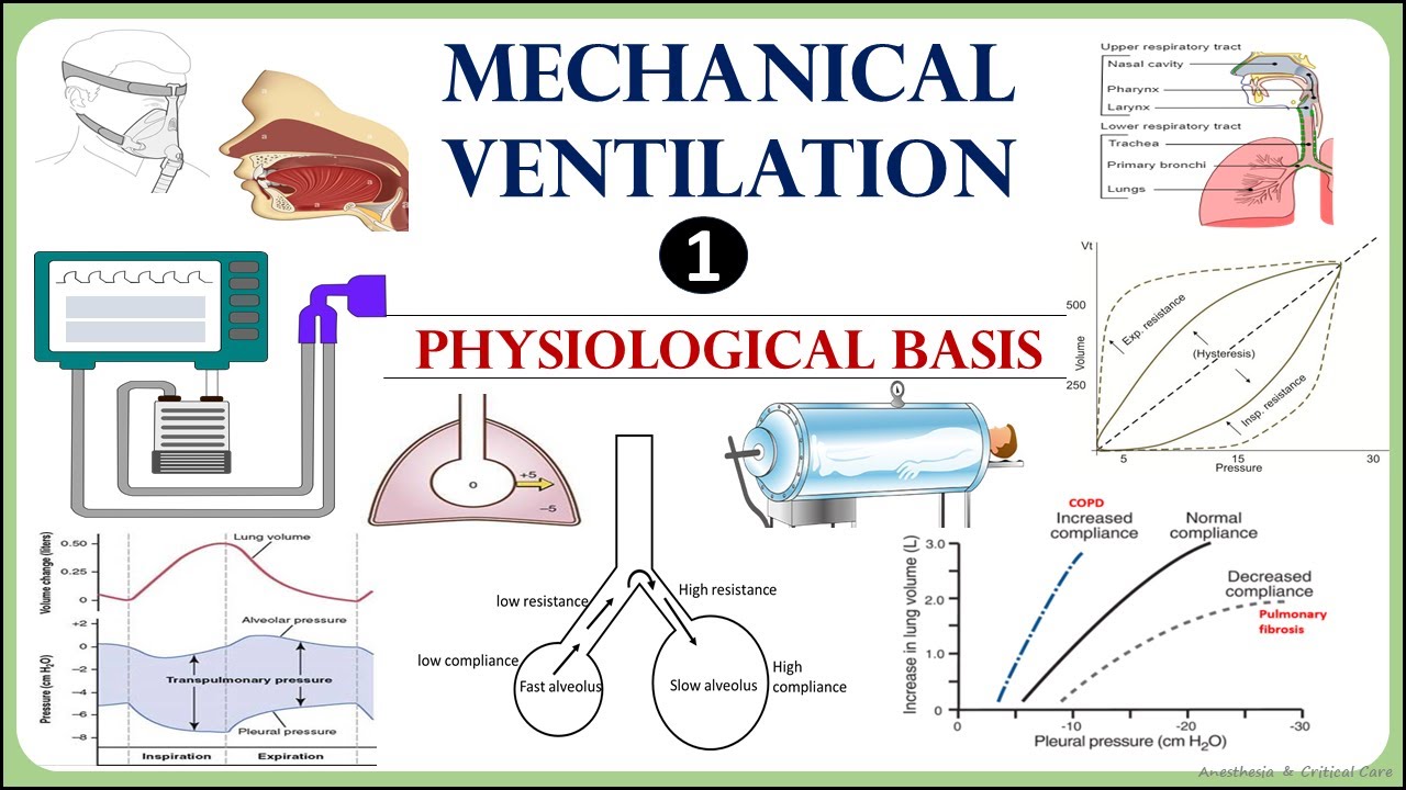 Respiratory Therapy | physiology of Mechanical ventilation - YouTube
