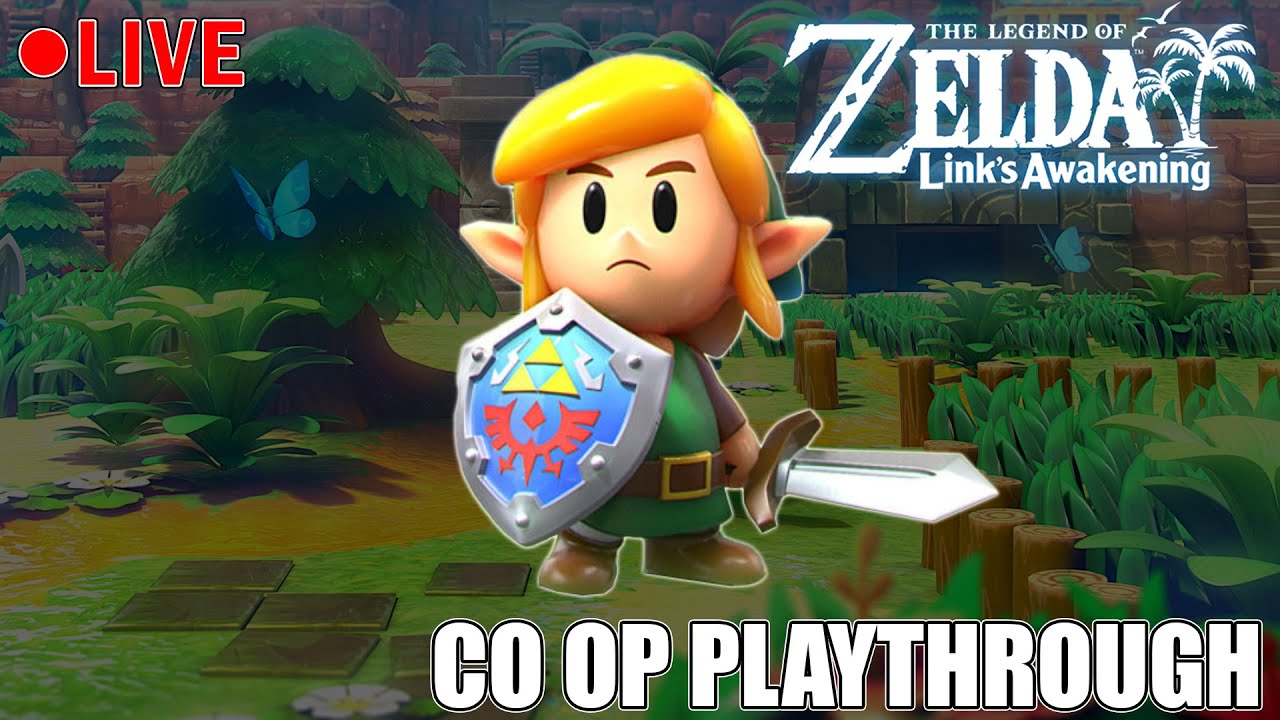 To The Waterfall! Co-op | Link's Awakening 18/02/24 - YouTube