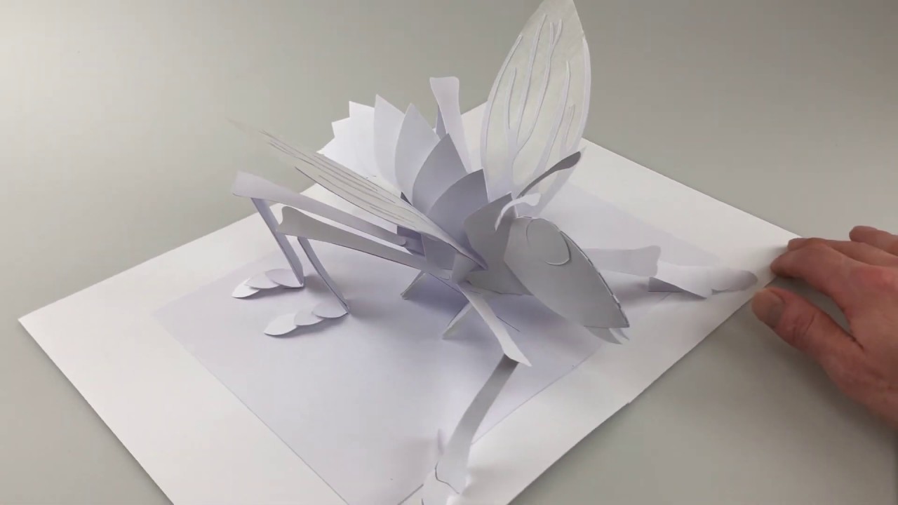 PopUpTober Day 28 - Bugs 🦟 insect hornet pop-up sculpture - YouTube