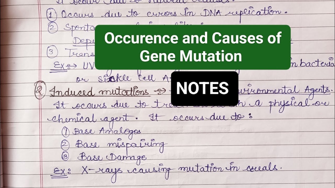 Occurence and Causes of Gene Mutation. #easynotes #genetics #biology # ...
