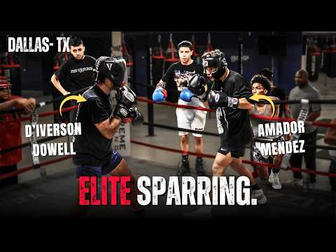 ELITE Private Sparring Event With TOP Amateur Boxers in Texas!