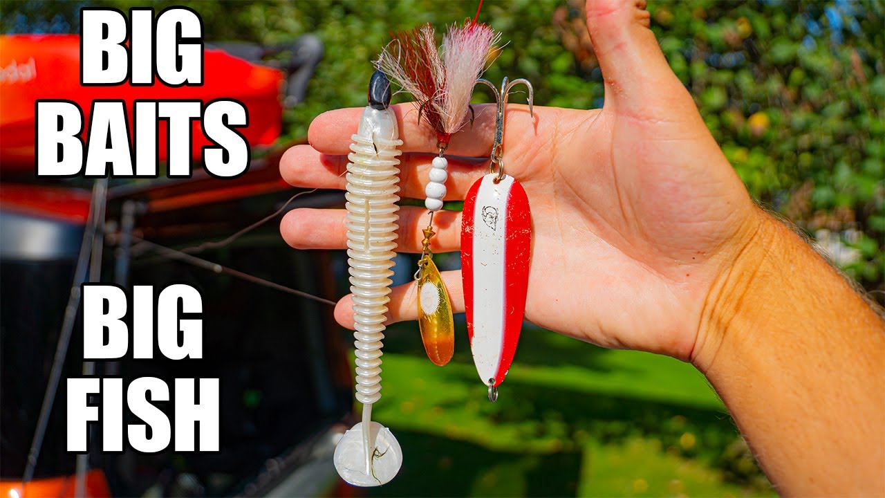 Throwing BIG Baits for BIG Fish (Pike & Bass) - YouTube