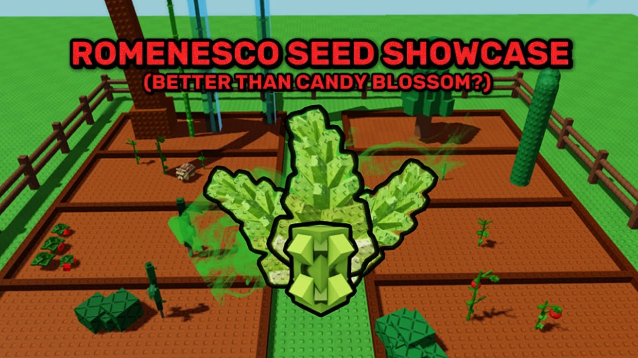 Romanesco Seed Showcase - YouTube