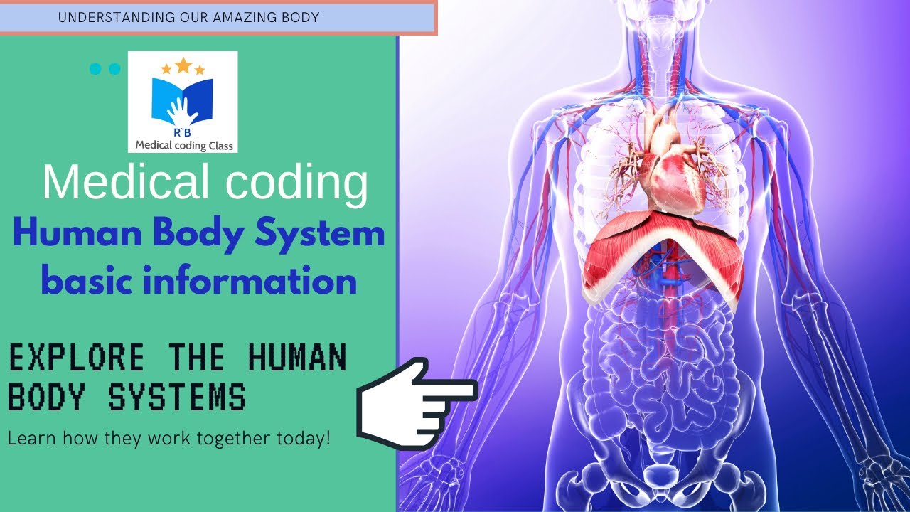 Medical Coding Human Anatomy Body System with Basic information // Body ...