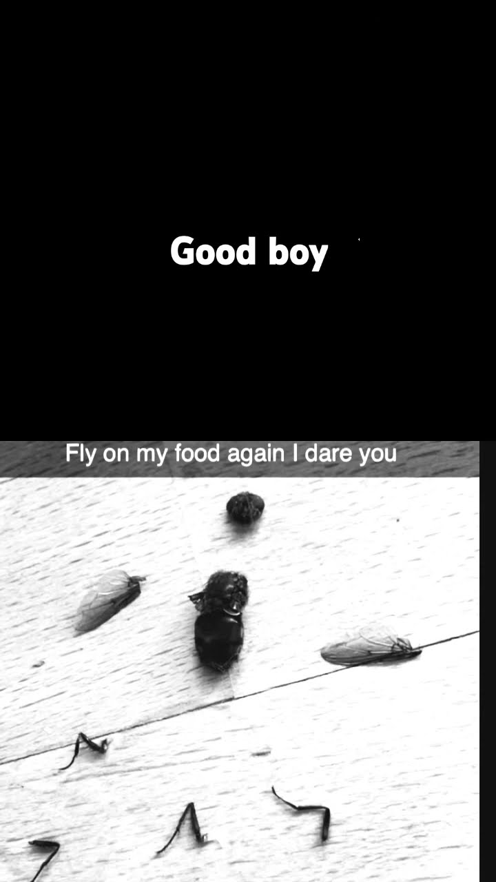 Funny Analoghorror Analoguehorror Fypシ゚viral Dare U Youtube