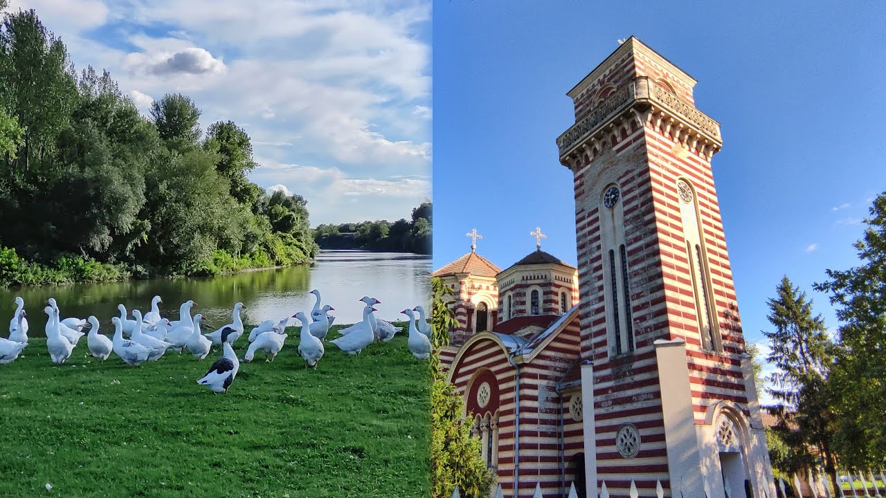 Orlovat Banat - YouTube