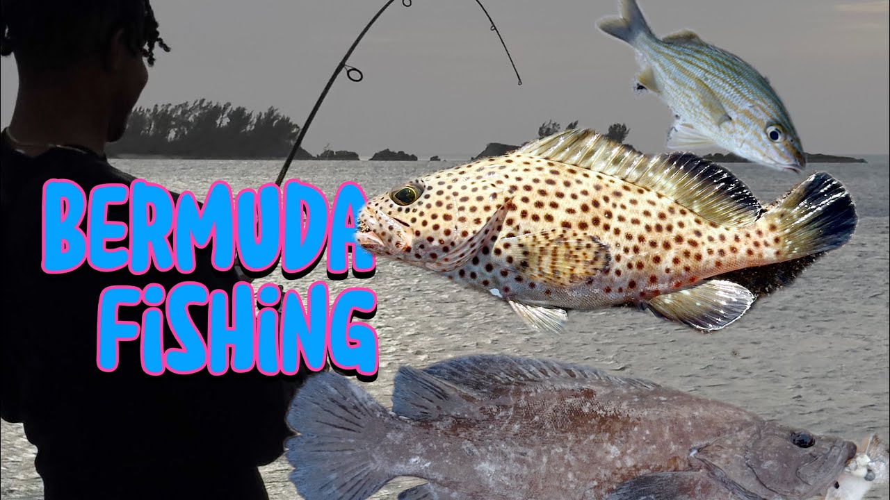 Bermuda Fishing Adventure | Caught a Grouper! - YouTube