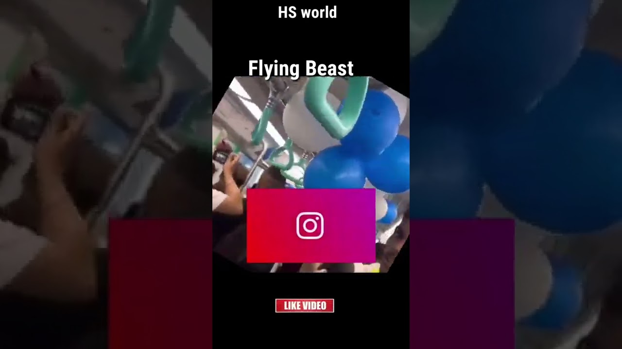 @Flying Beast Arrested. - YouTube