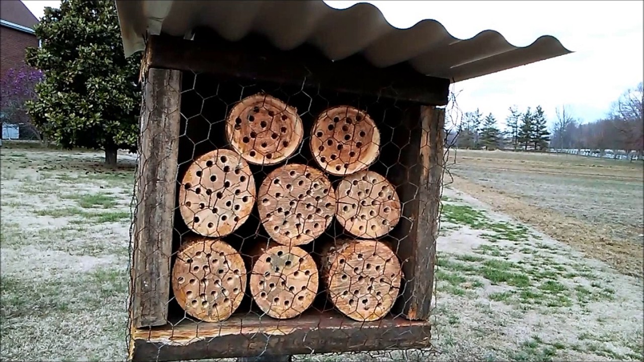 NPF Mason Bees Nest DIY House - YouTube