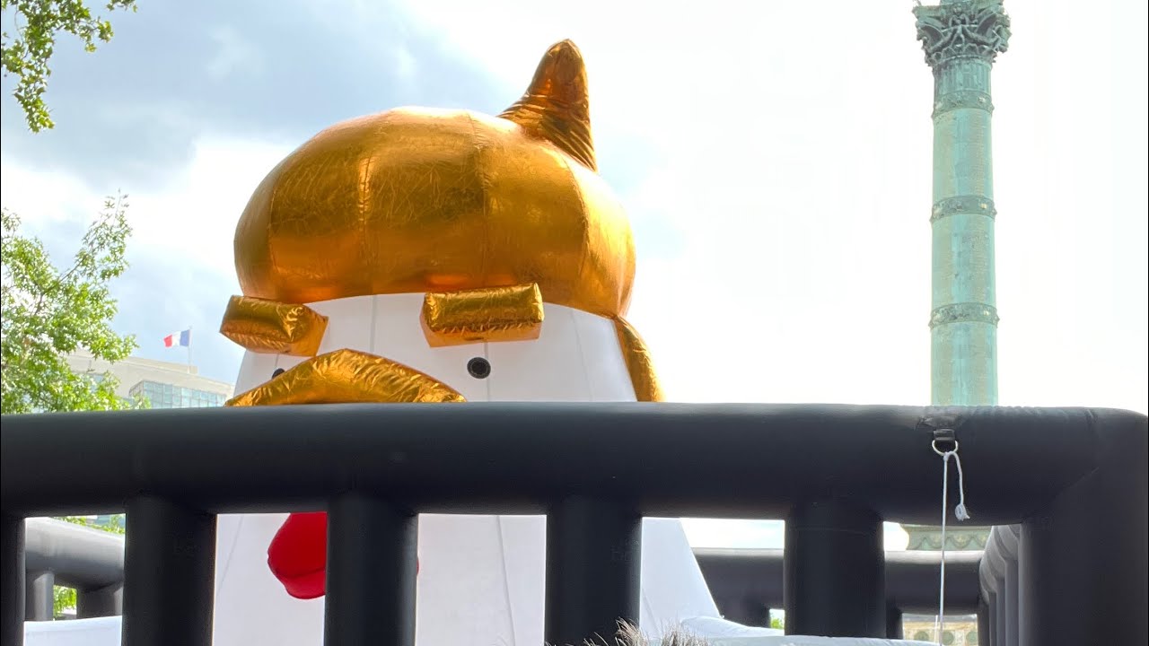 Chicken Don and Felon Don aka TACO Trump have a story - YouTube