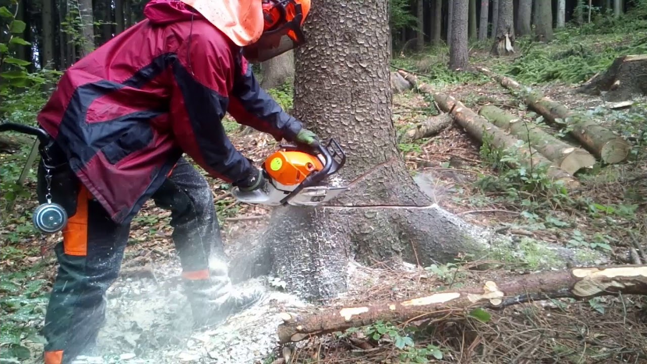 Working in forest, 272-2019, Im wald arbeiten, Práce v lese 🇨🇿 - YouTube
