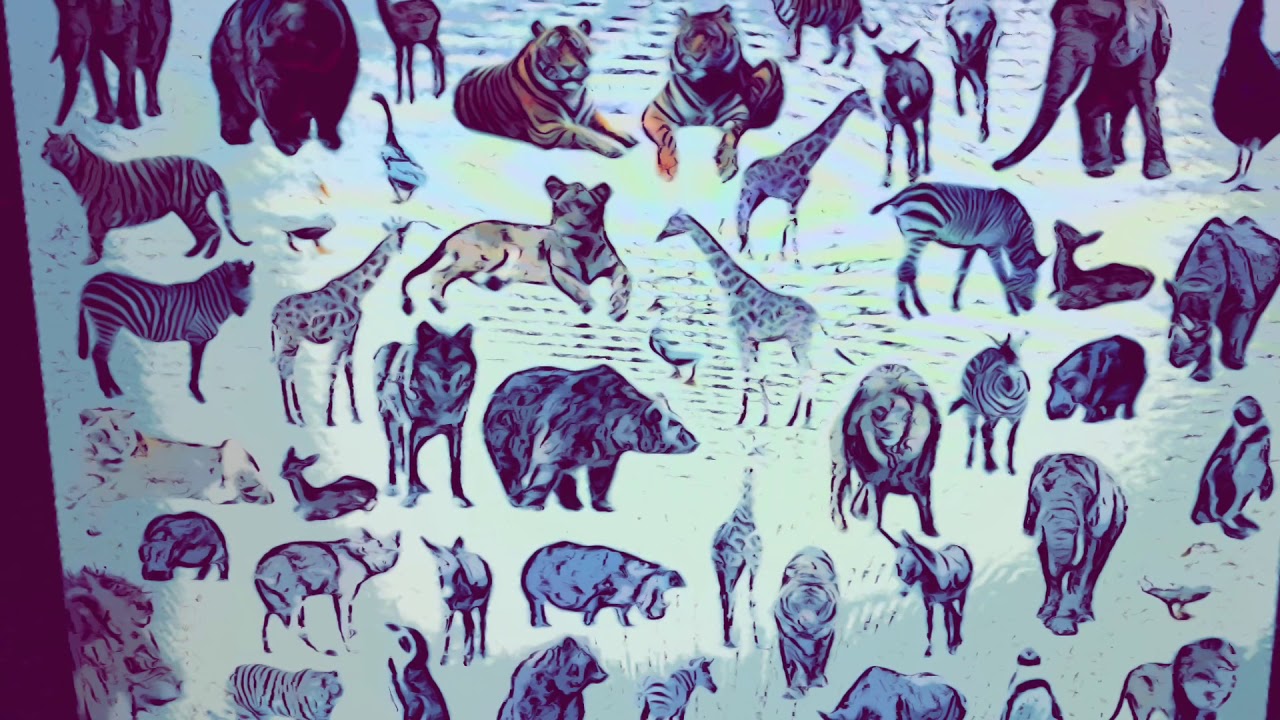 "Animal Age" Part 13 - Cave Drawings - YouTube