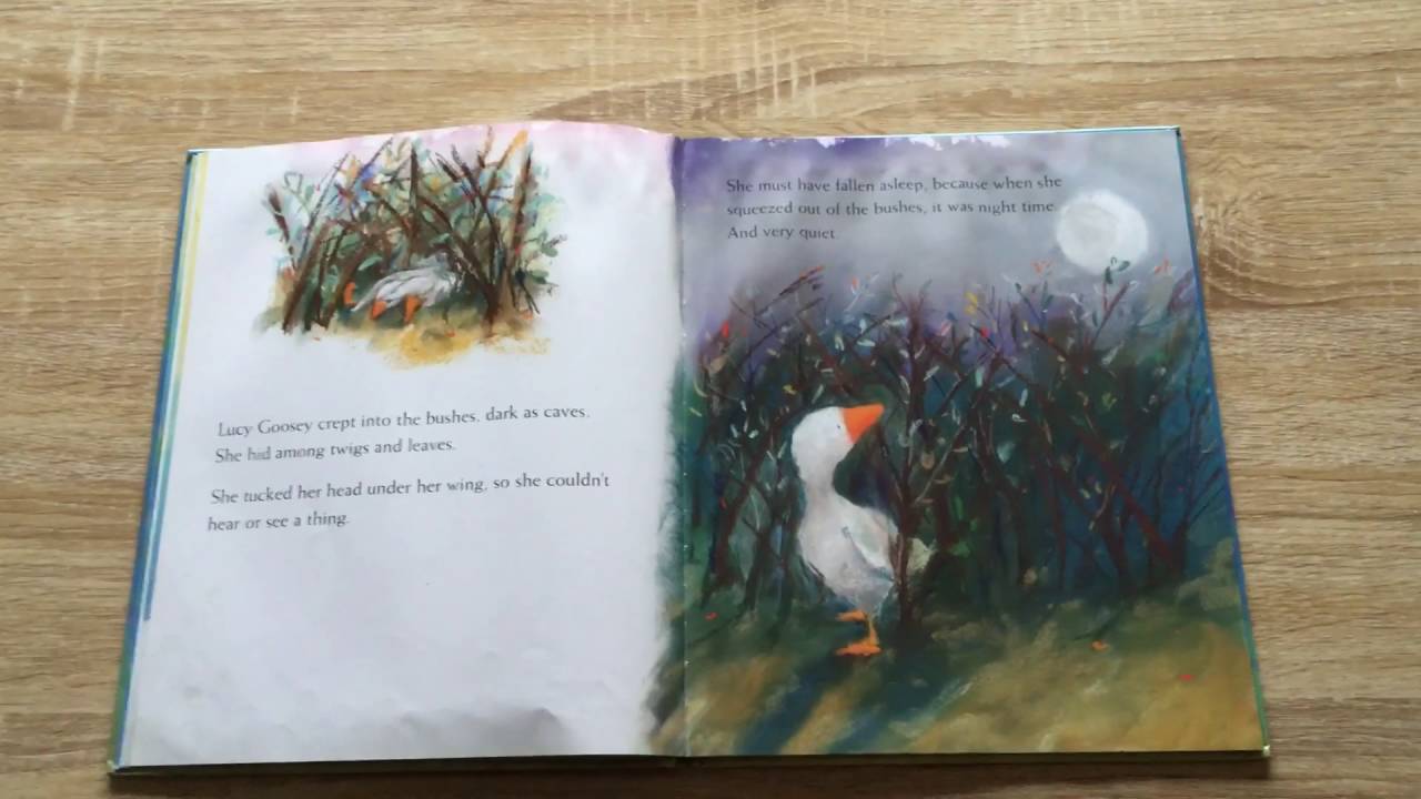 Lucy Goosey by Margaret Wild - Read Aloud - YouTube