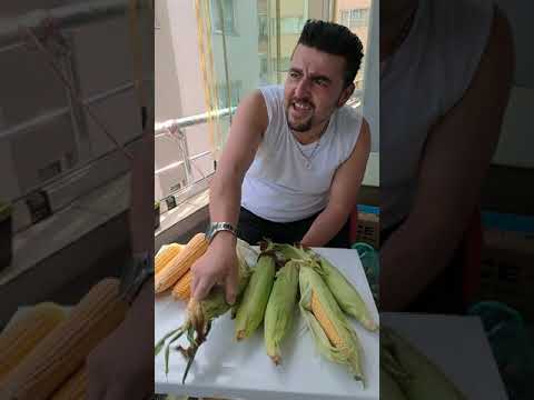 Zonguldak Şivesi