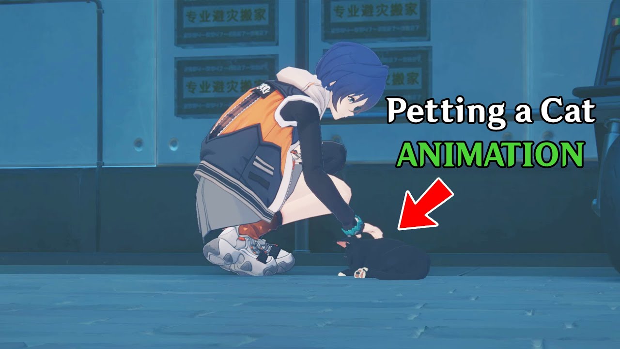 CUTE Animation when You PET a Cat in Zenless Zone Zero - YouTube