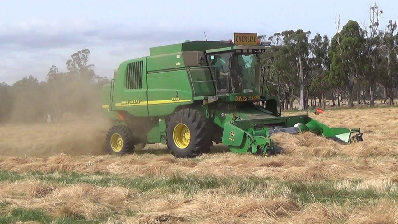 Mt Ireh Grass Seed Harvest Part 3 - YouTube