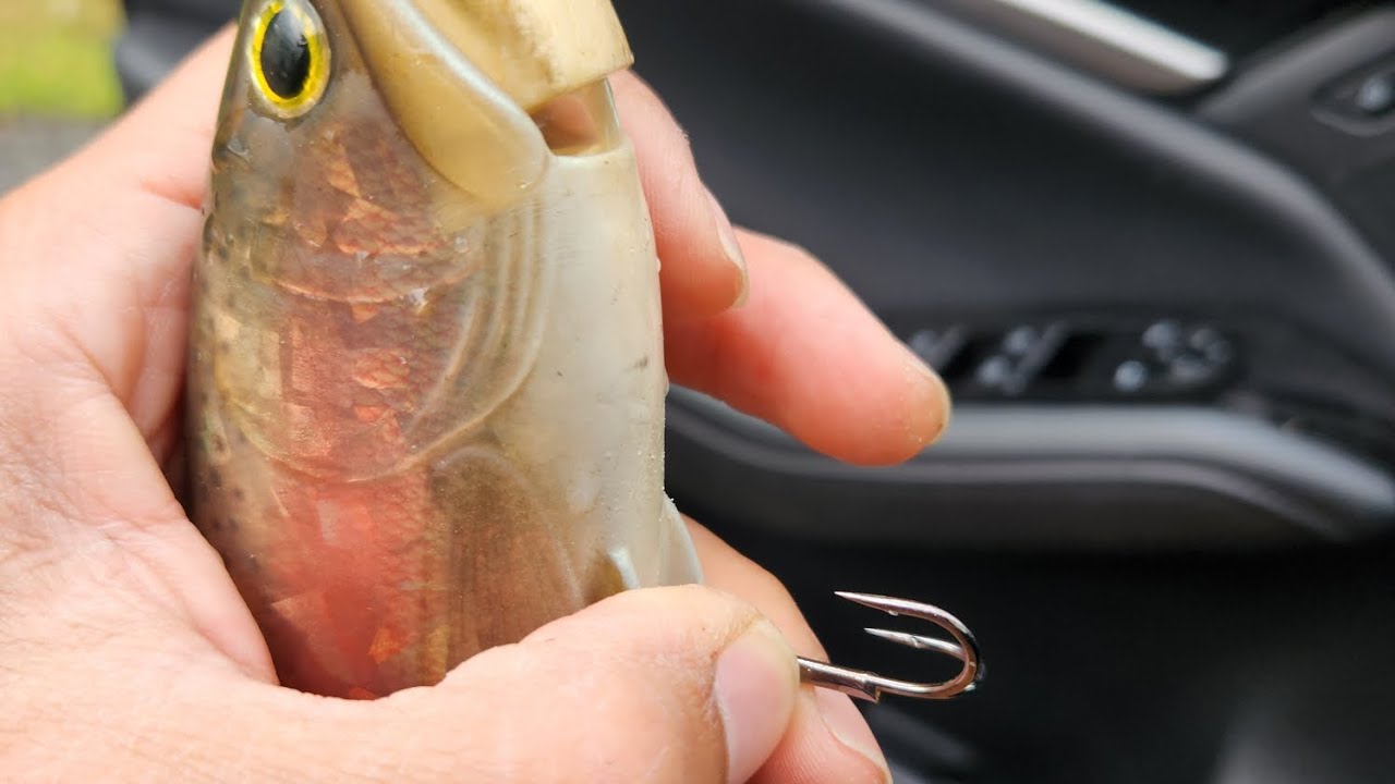 Fish Hit the Deps 250 Hard Enough to Break the Hook - YouTube