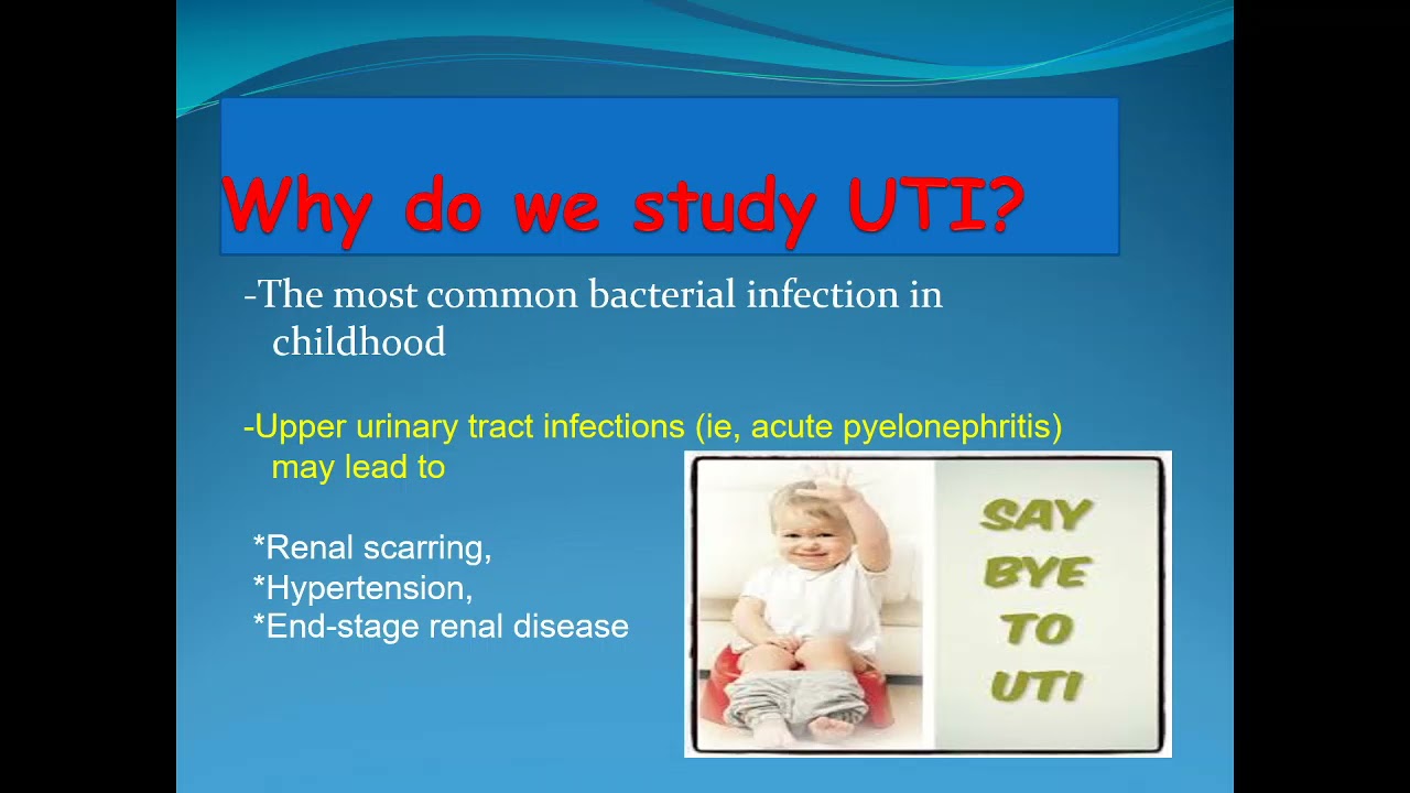 UTI in Pediatrics - YouTube