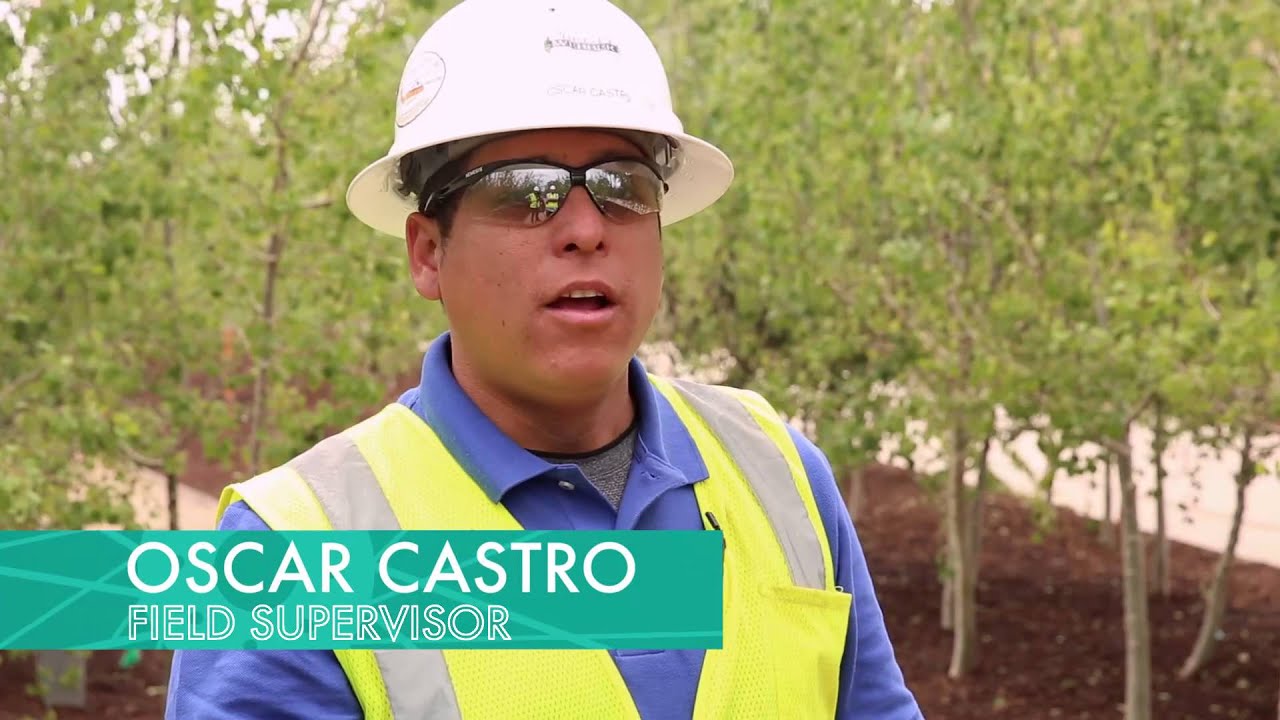 Christy Webber Landscapes on The 606 - YouTube