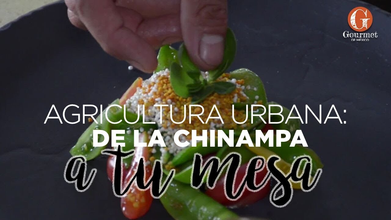 #RutaGourmet de la chinampa a la mesa - YouTube