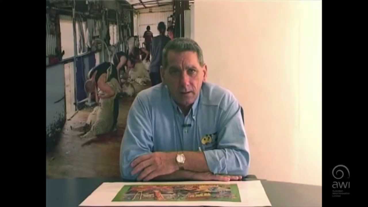 AWI Wool Handling - Getting a Start - Point of View - Sam Beechey - YouTube