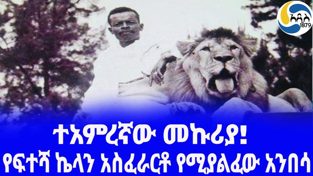 Ethiopia [ታሪክ]የፍተሻ ኬላን አስፈራርቶ የሚያልፈው አንበሳ Mekuria | ገብሬ አበበ | Genene ...