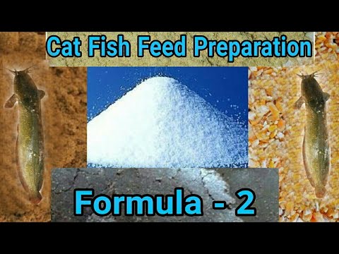 On firm fish feed formula -2| cat fish feed preparation - YouTube
